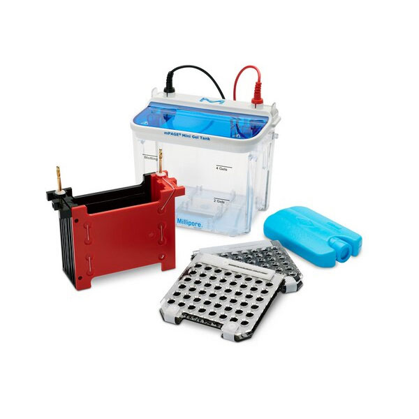 mPAGE Mini Wet Transfer System